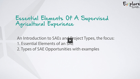 SAE Resources